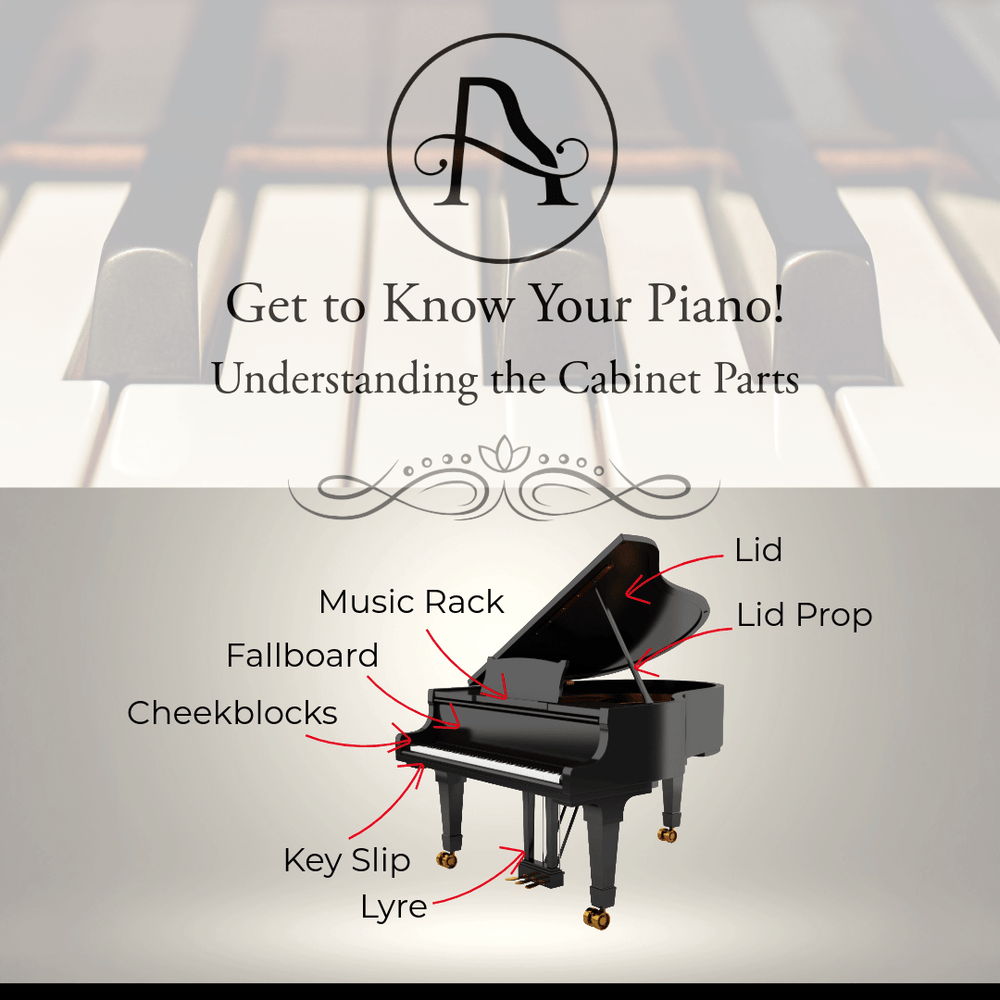 Learn About Your Piano! | Artisan Piano Services