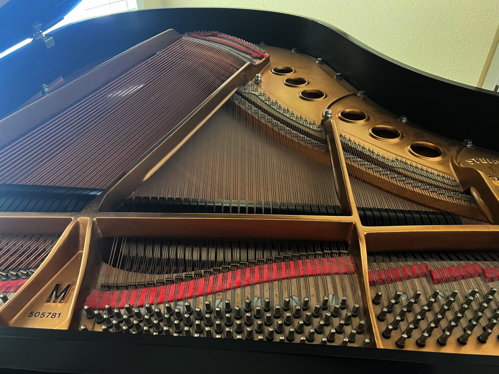 Piano Cleaning | Artisan Piano Tuning & Restoration | Artisan Piano ...